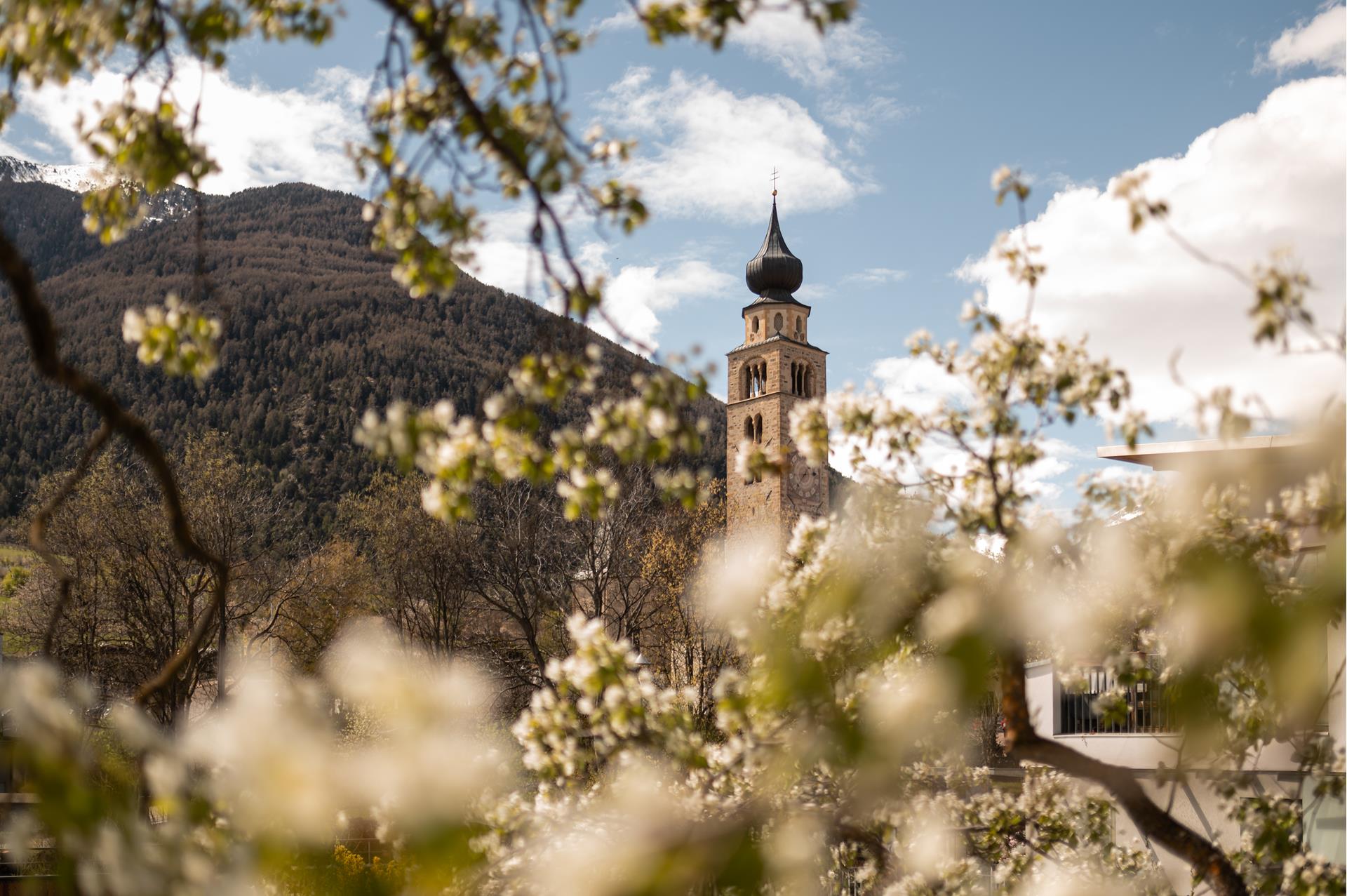 Primavera 2025 in Val Venosta: catura e colori